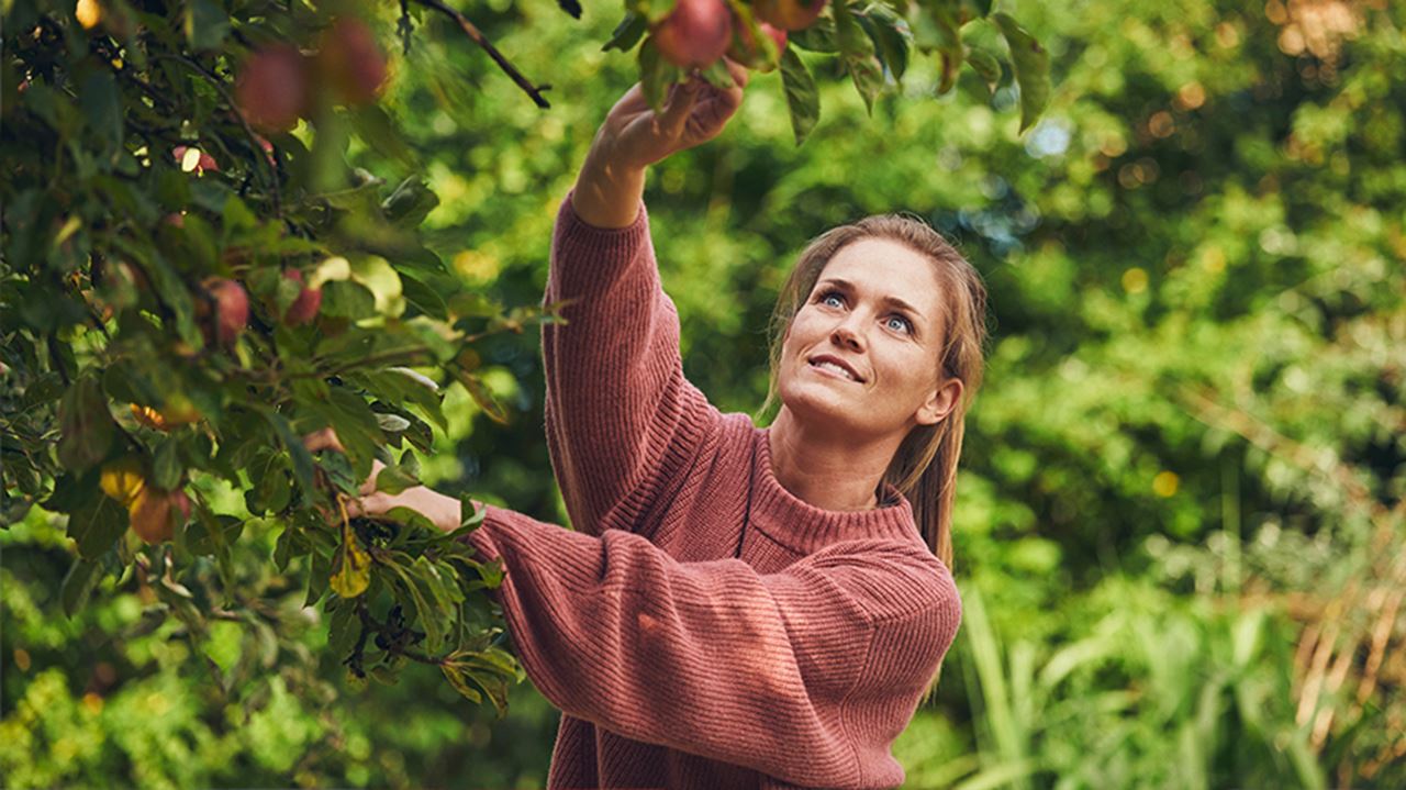 Med en pension i PenSam er du godt dækket hele livet. Læs alt om din ...